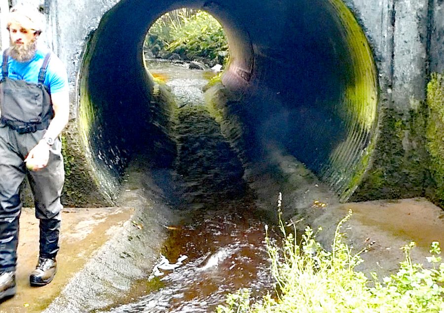 New baffles to improve fish passage – River Ayr District Salmon Fishery ...