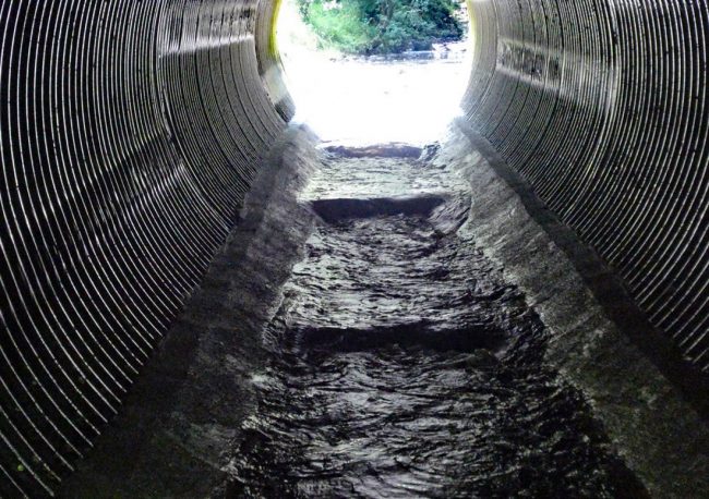 New baffles to improve fish passage – River Ayr District Salmon Fishery ...