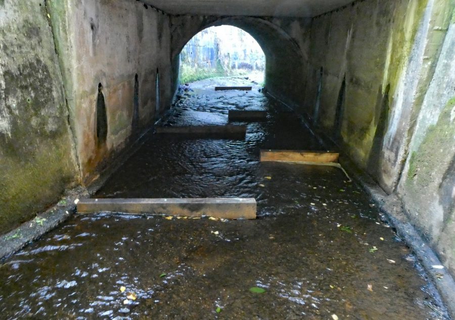 New baffles to improve fish passage – River Ayr District Salmon Fishery ...