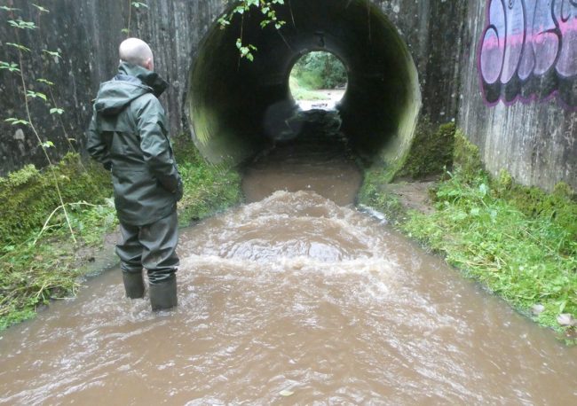 Baffles receive their first real flow of water – River Ayr District ...